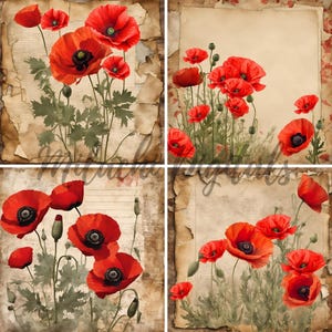 Red Poppies Digital Paper Pack 12"x12", Vintage Background, Red Poppy ...