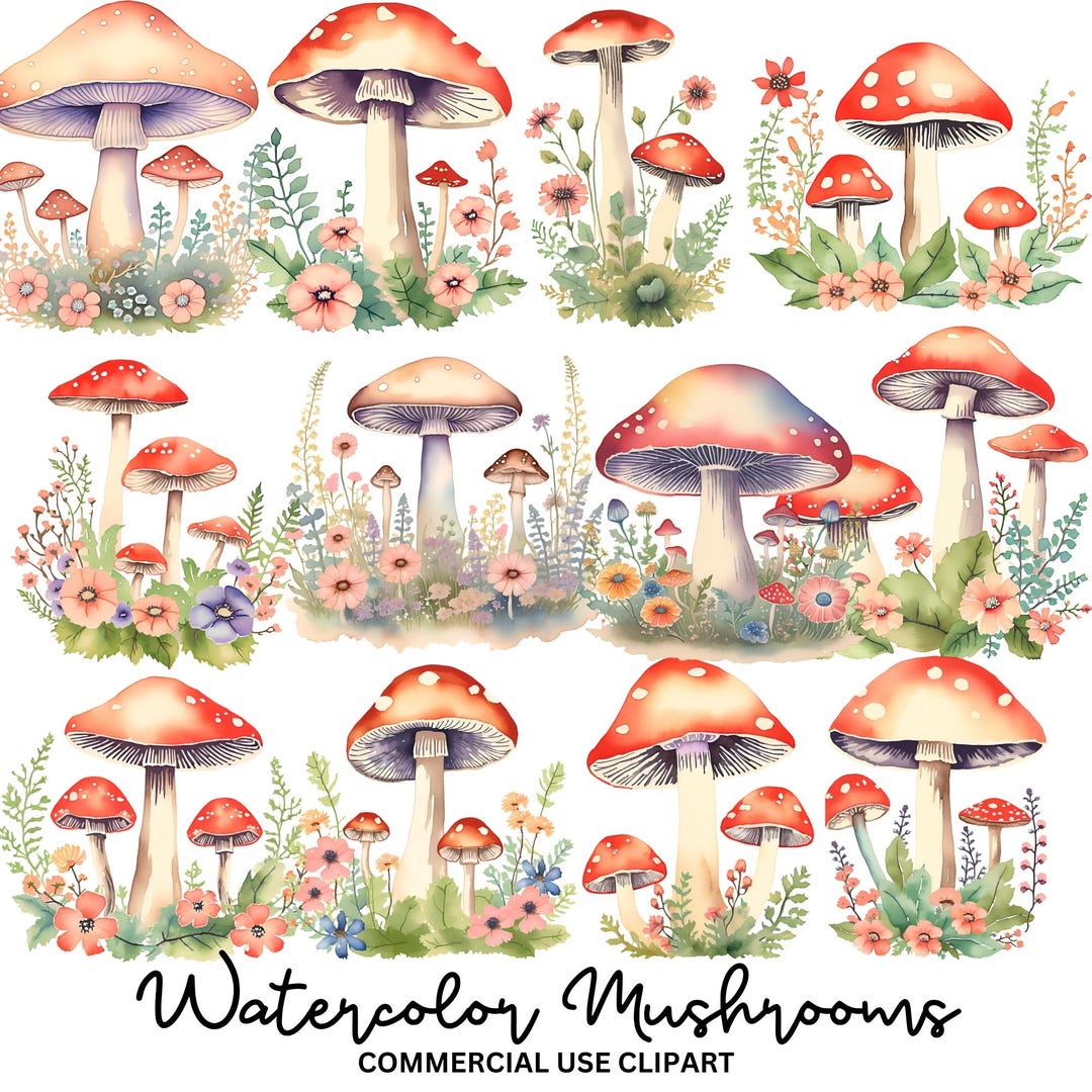Watercolor Mushrooms Clipart Set, 12 High Quality Pngs, Clipart Bundle ...