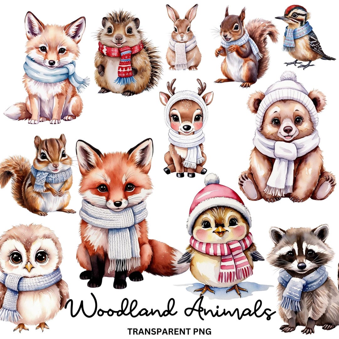 12 PNG Christmas Woodland Animals Clipart, Watercolor Winter Animals ...