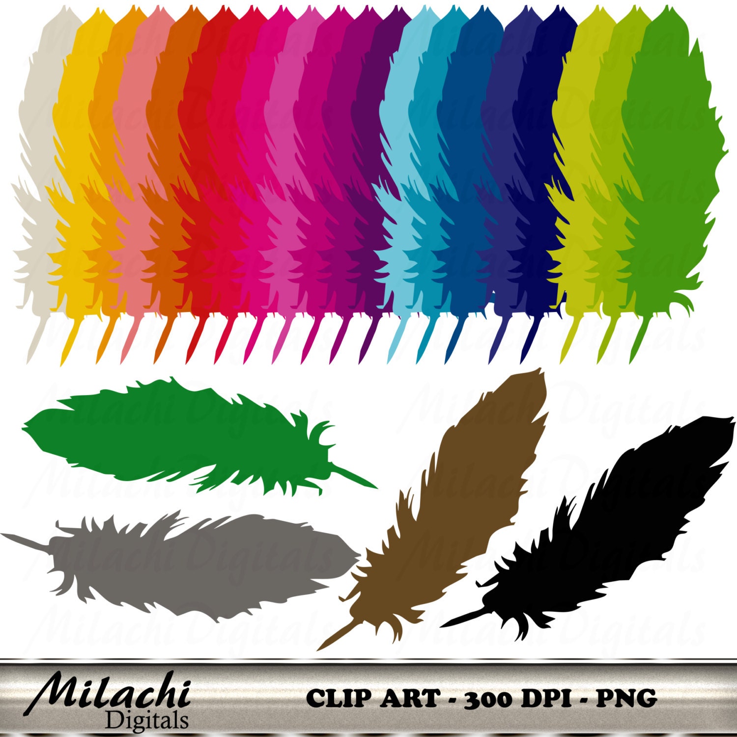 Rainbow Feathers Digital Clip Art - Commercial Use - Instant Download ...