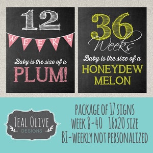 Bi-weekly Pregnancy Chalkboard Sign - Week 8-40 Package Deal 17 Signs ...