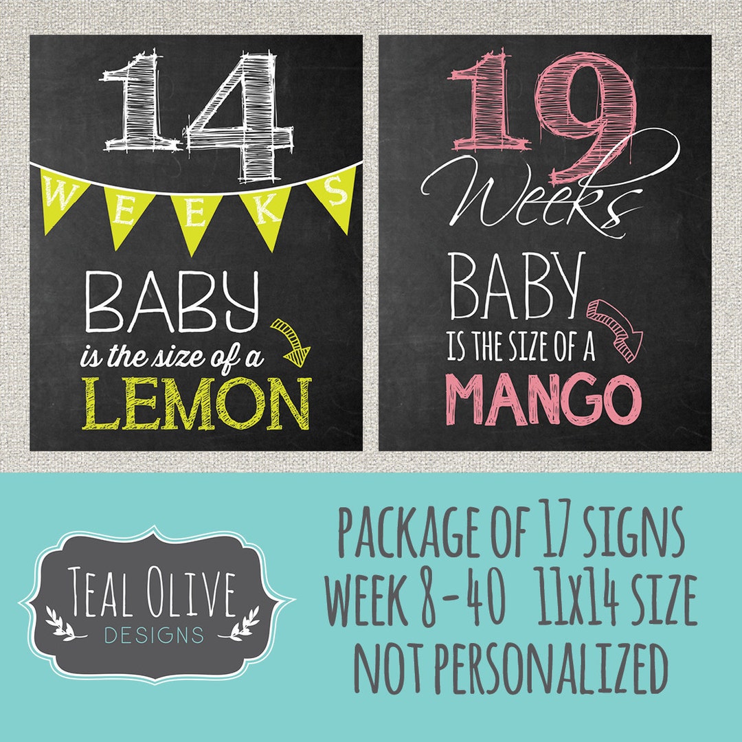 Bi-weekly Pregnancy Chalkboard Sign - Week 8-40 Package Deal 17 Signs ...
