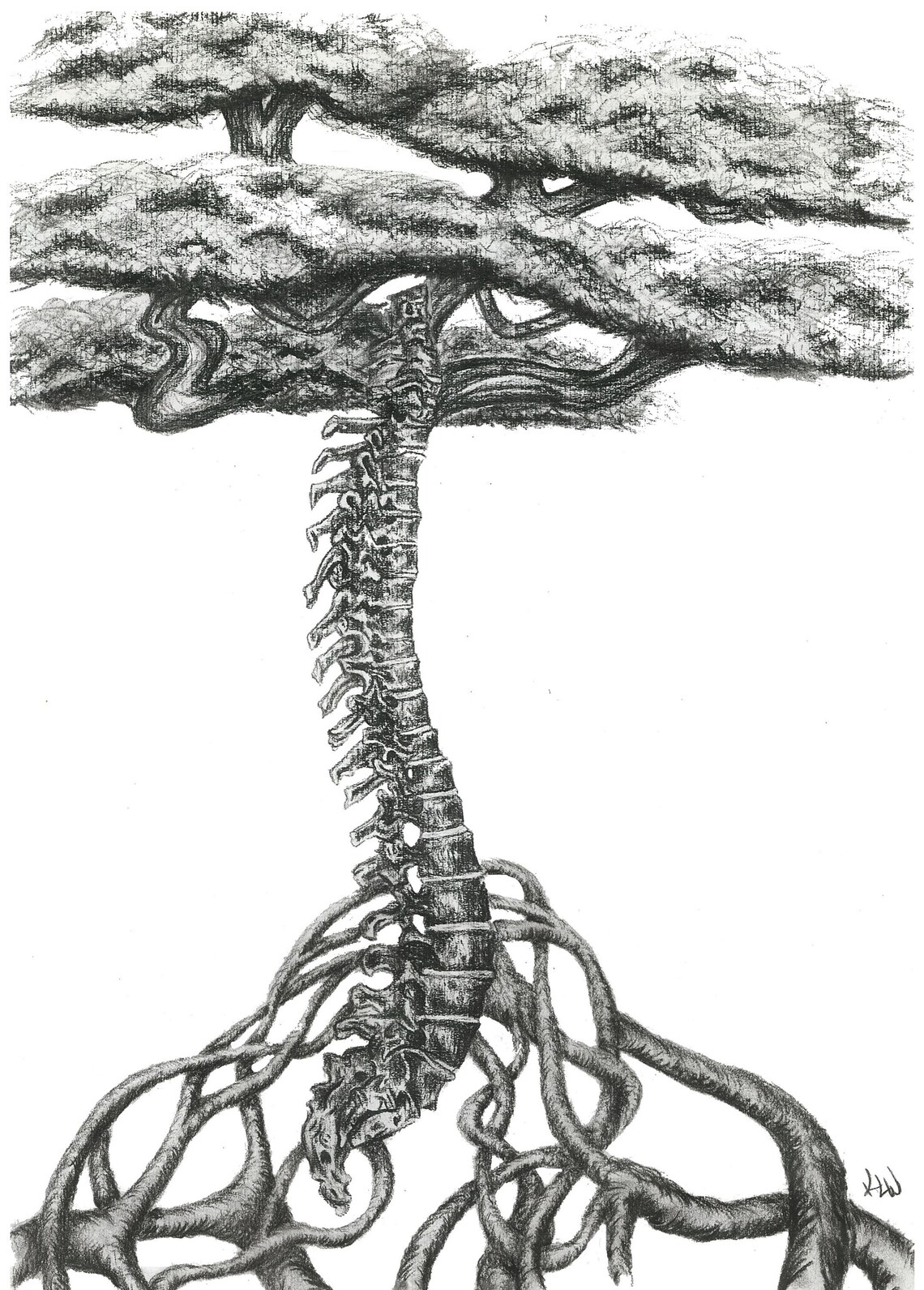 Tree of Life Anatomical Spine Forest Chiropractic Medical | Etsy