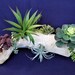 Driftwood Art Floral Arrangement Driftwood Art Display - Etsy