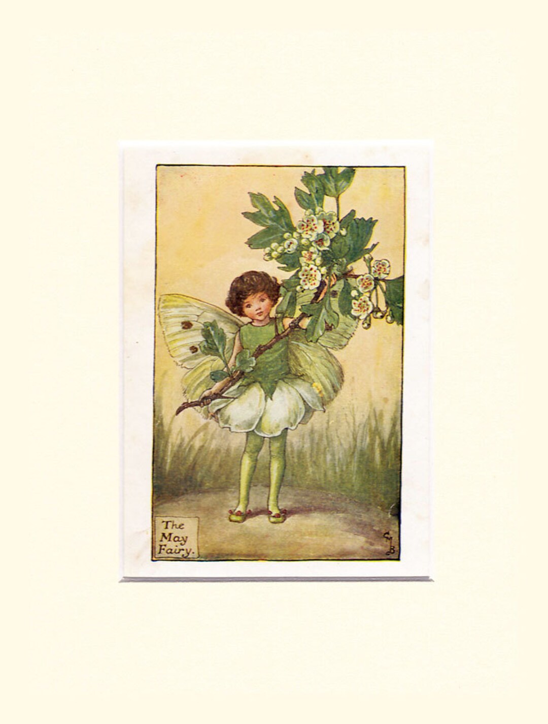Flower Fairy Book Print the May Fairy From the Spring Series Original ...
