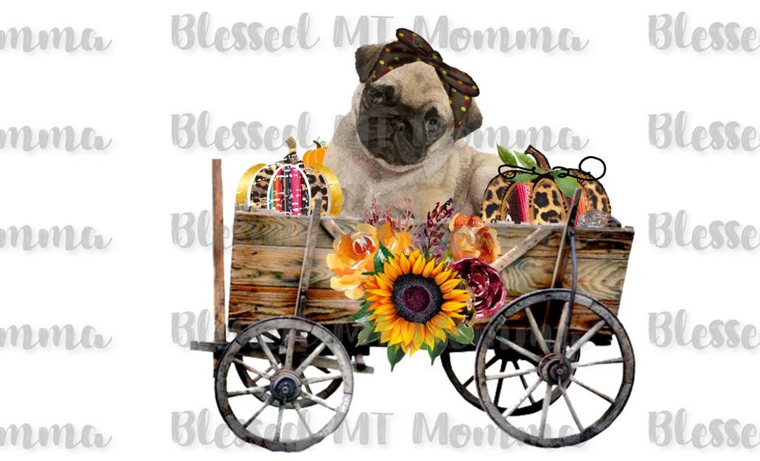 Pug Wagon Sunflower Sublimation Transfer Ready to Press Fall - Etsy UK