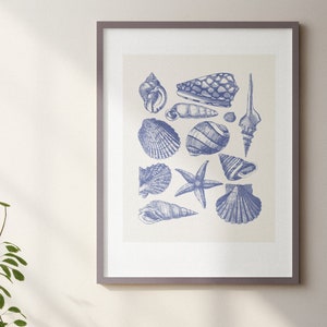 Seashell Art Print, Beachy Wall Art, Seashell Print, Beach Decor, Ocean ...