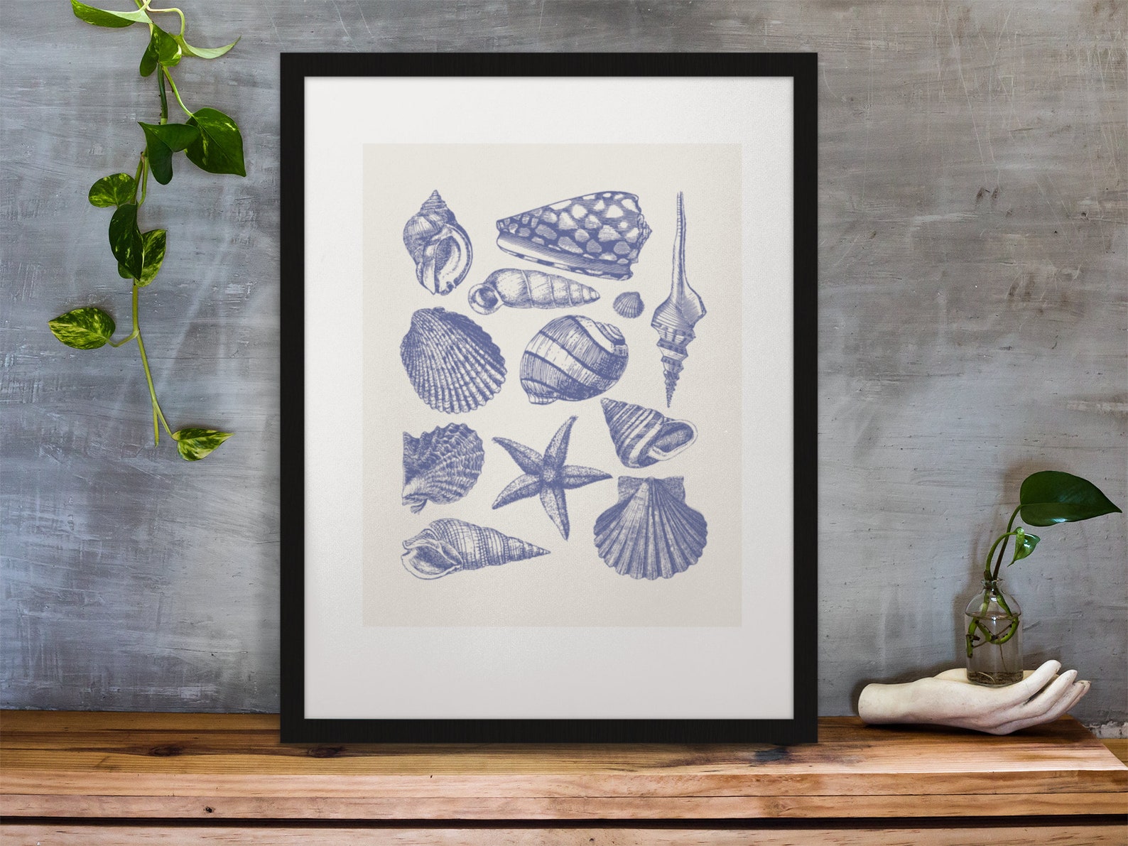 Seashell Art Print, Beachy Wall Art, Seashell Print, Beach Decor, Ocean ...