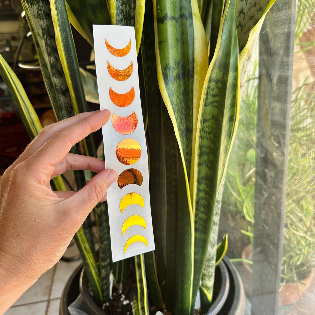 Moon Phase Decal, Holographic Moon Decal, Crescent Moon Decal ...