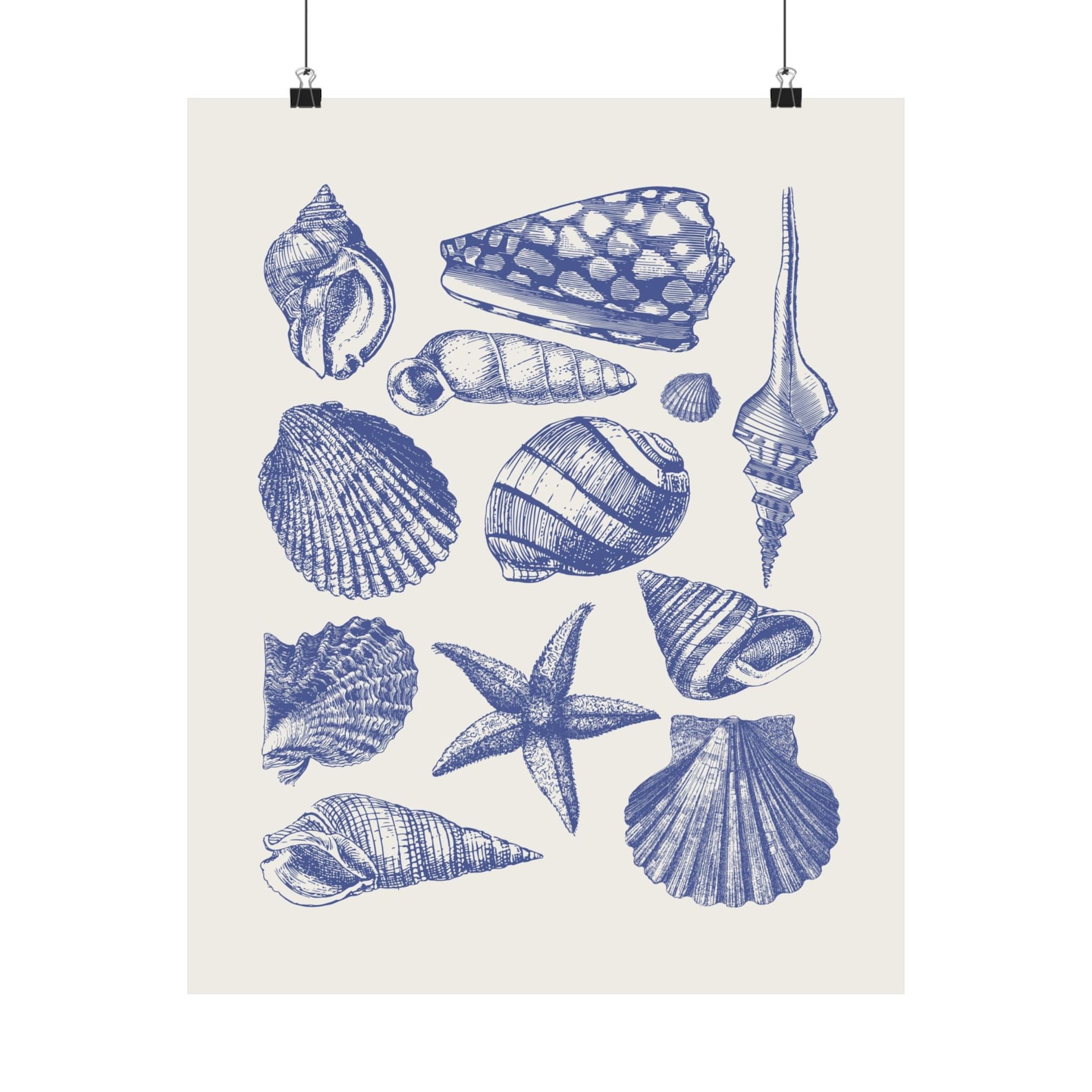 Seashell Art Print, Beachy Wall Art, Seashell Print, Beach Decor, Ocean ...