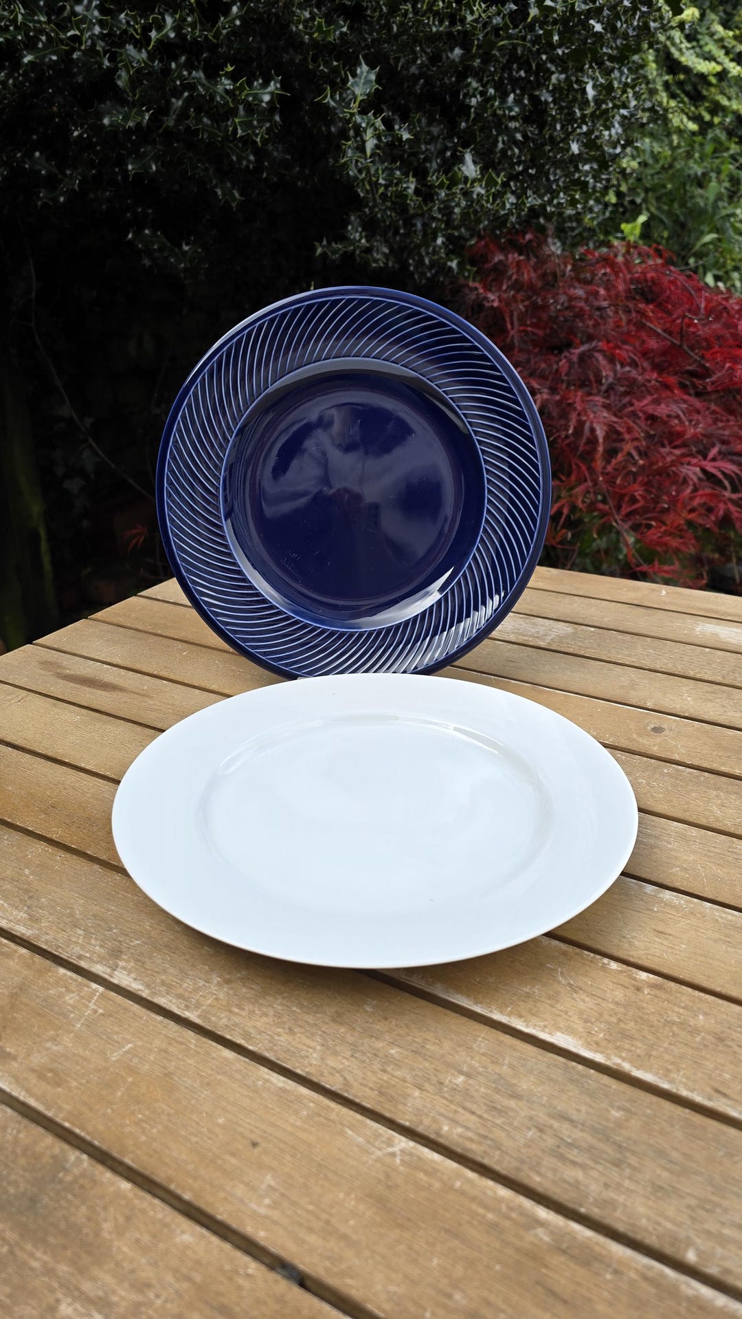 Large Dinner Plates, 27cm Diameter, Individually Available. - Etsy