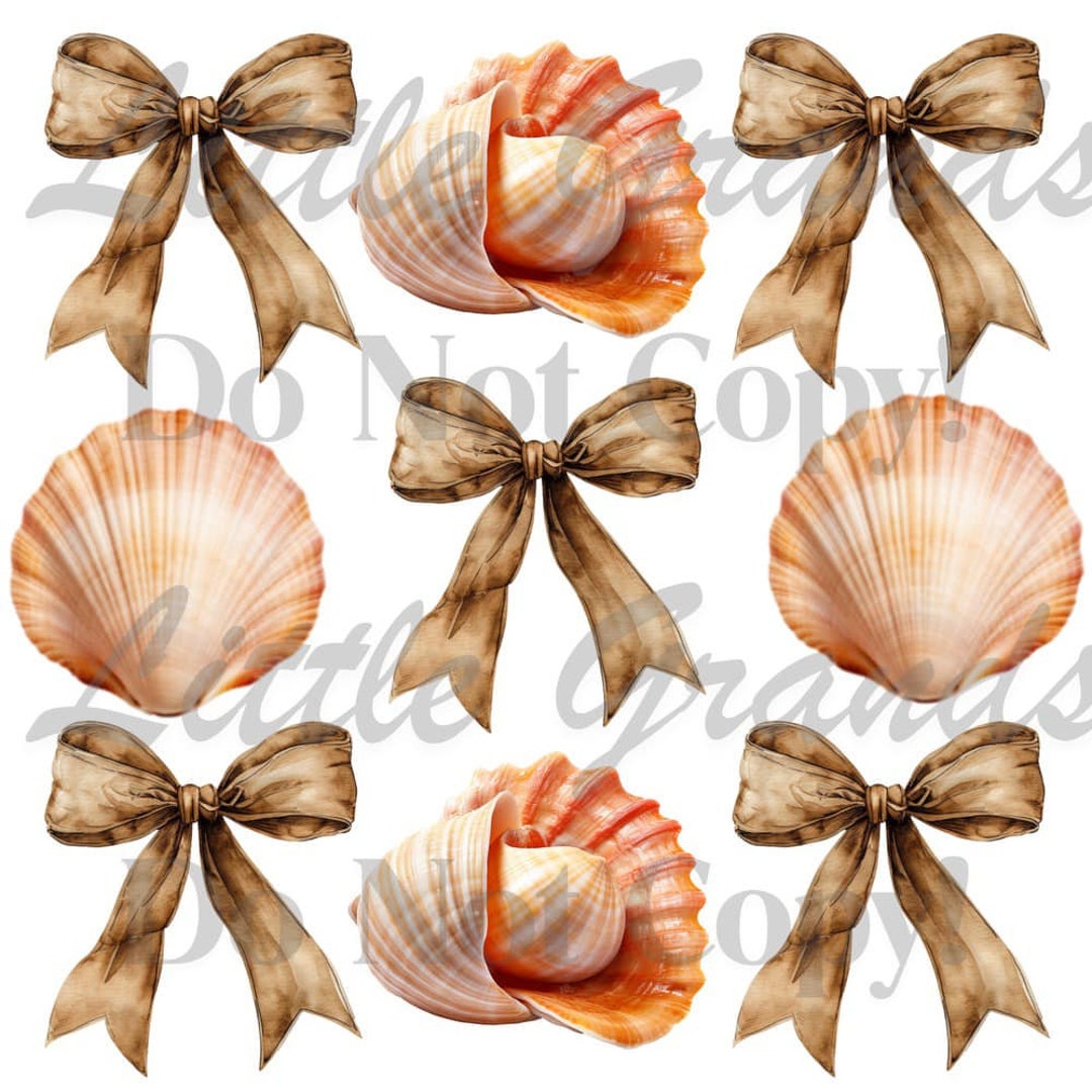 Couquette Bow Sea Shells Digital Design - Etsy