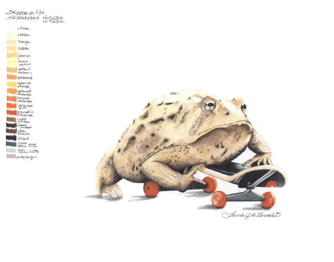 Toad on a Skateboard, Colored Pencil, Frog, Print, Illustration, Art ...