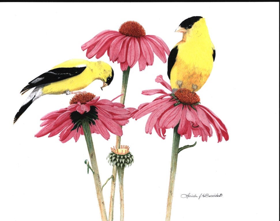 Flower Garden Drawing - Etsy