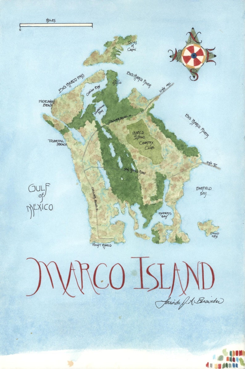 Gulf of Mexico, Map of Marco Island, Florida, Watercolor, Colored ...