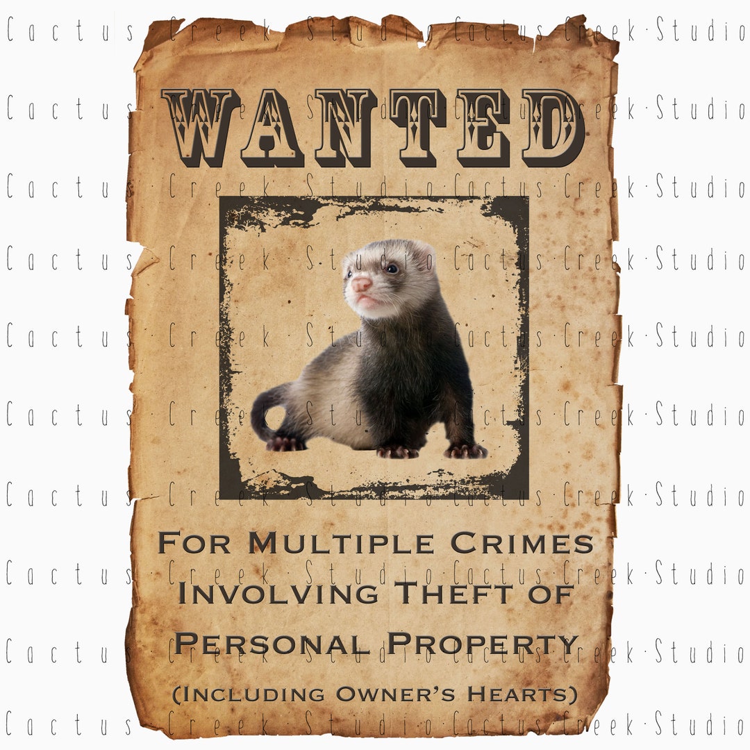 Ferret Wanted Poster | PNG File | Digital Download | Sublimation - Etsy