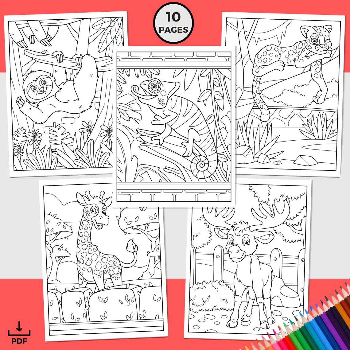 ZOO ANIMALS Coloring Pages, Instant Download, Kids Camp Coloring Pages ...