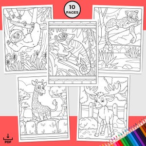 ZOO ANIMALS Coloring Pages, Instant Download, Kids Camp Coloring Pages ...