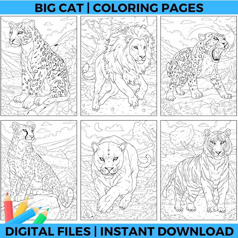 Big Cat Coloring Pages, Tiger, Lion, Panther, Cheetah and Leopard ...