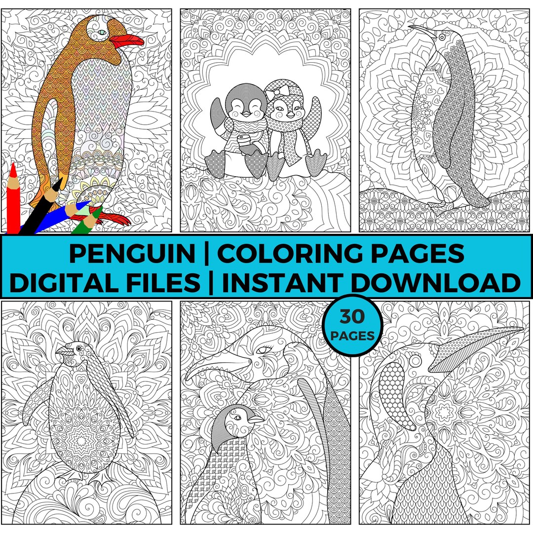 Mandala Penguin Coloring Pages, Winter Animal Printable (PDF) - Etsy