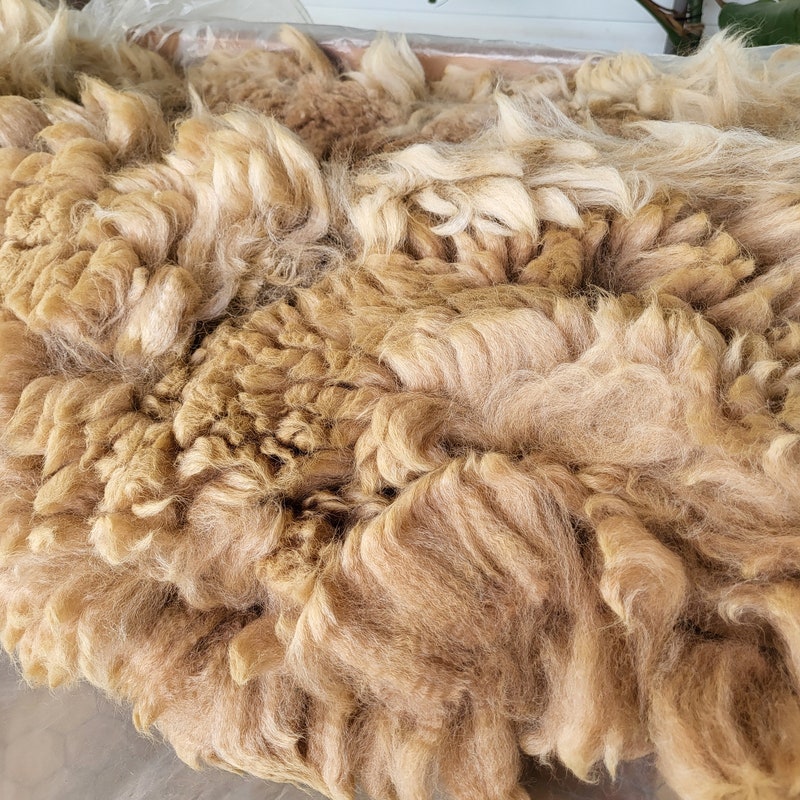 Cormo Fleece - Etsy