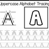 Single Printable Rainbow Border ASL Alphabet Reference Poster. Prints 8 ...
