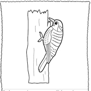 50 Printable State Birds Color Worksheets. Preschool and Kindergarten ...