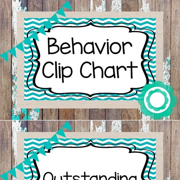 Behavior Management - Etsy