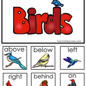 30 Printable Preschool Birds Learning Games Download. Games and ...