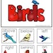 30 Printable Preschool Birds Learning Games Download. Games - Etsy