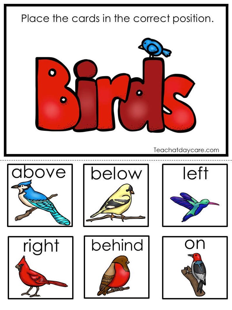 30 Printable Preschool Birds Learning Games Download. Games | Etsy
