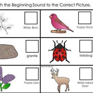 30 New Hampshire State Symbols Themed Learning Games Download. ZIP File ...