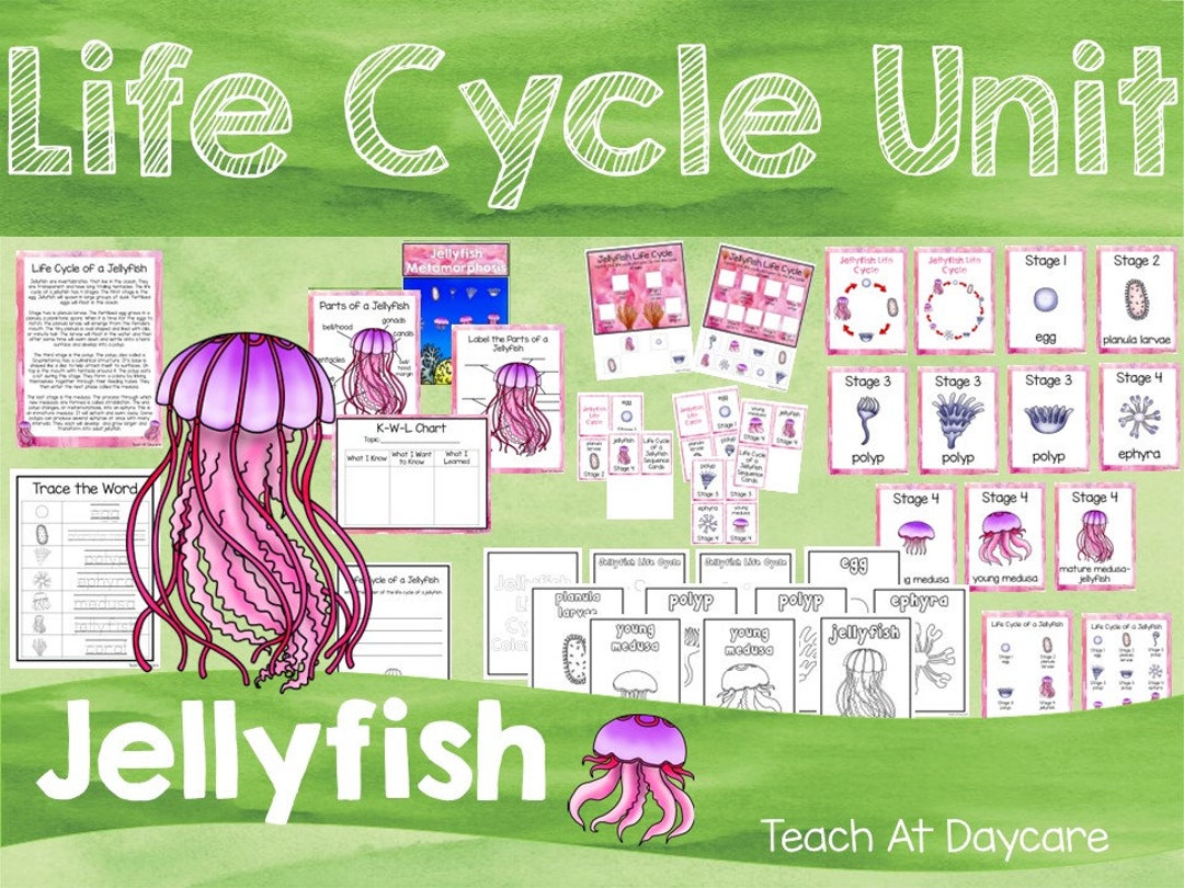 Life Cycle of a Jellyfish Science Curriculum Unit. Worksheets ...
