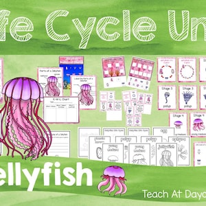 Life Cycle of a Jellyfish Science Curriculum Unit. Worksheets ...