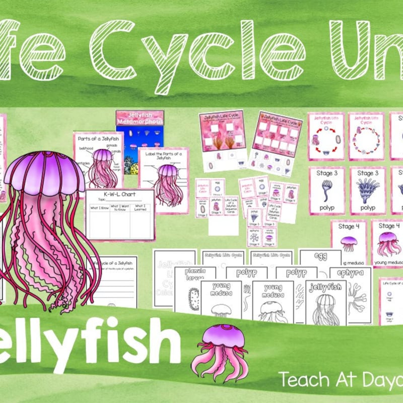 Jellyfish Poster - Etsy
