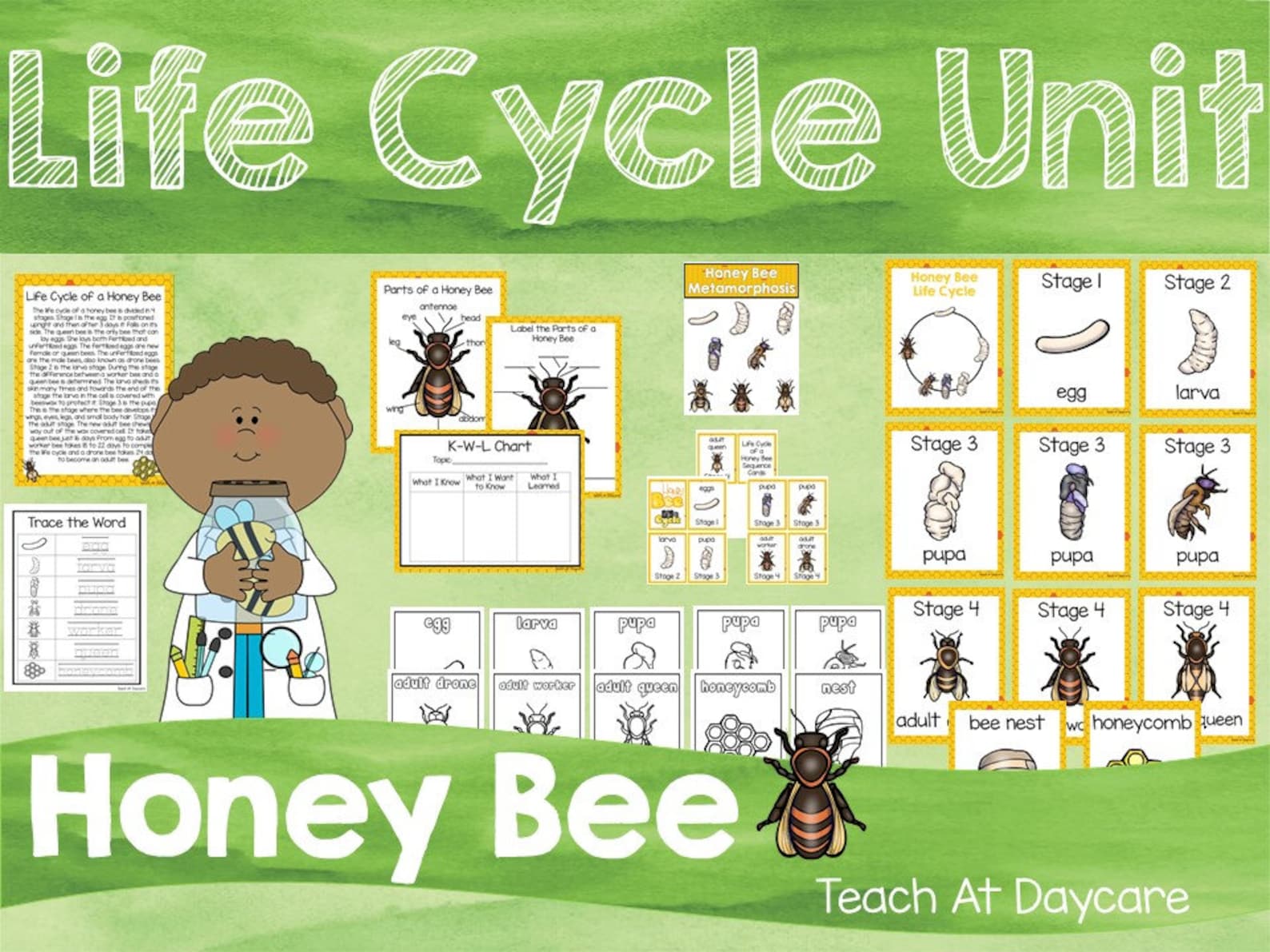 Life Cycle of a Honey Bee Science Curriculum Unit. Worksheets ...