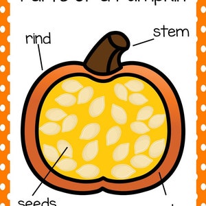 Life Cycle of a Pumpkin Science Curriculum Unit. Worksheets, Activities ...