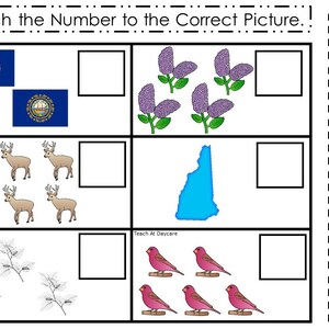 30 New Hampshire State Symbols Themed Learning Games Download. ZIP File ...