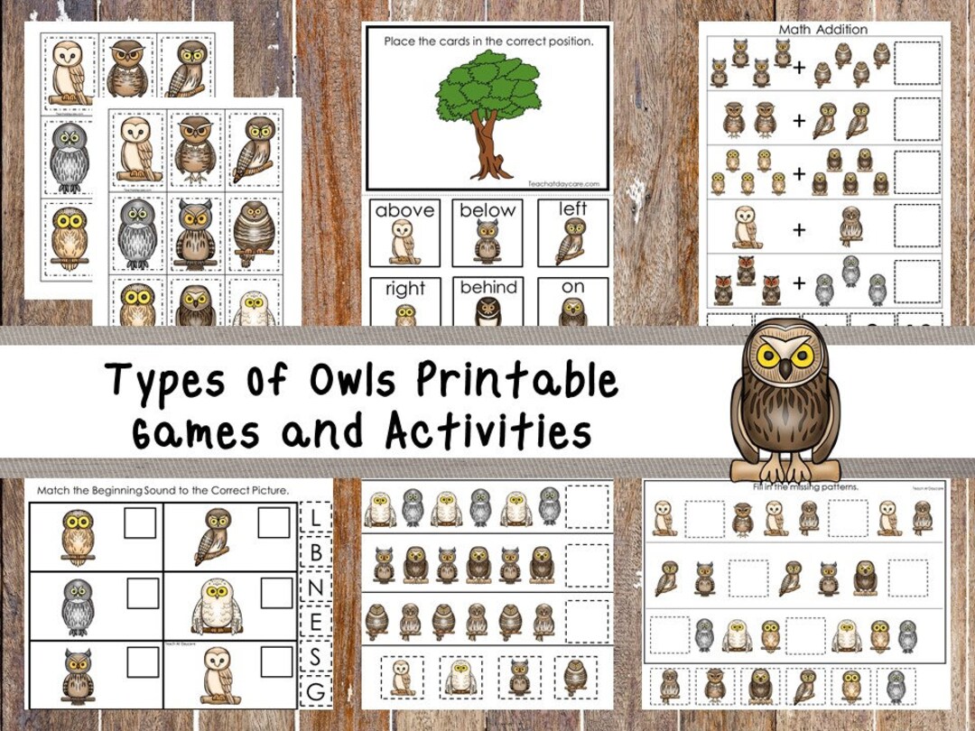 30 Types of Owls Printable Preschool Educational Games Download. Games ...