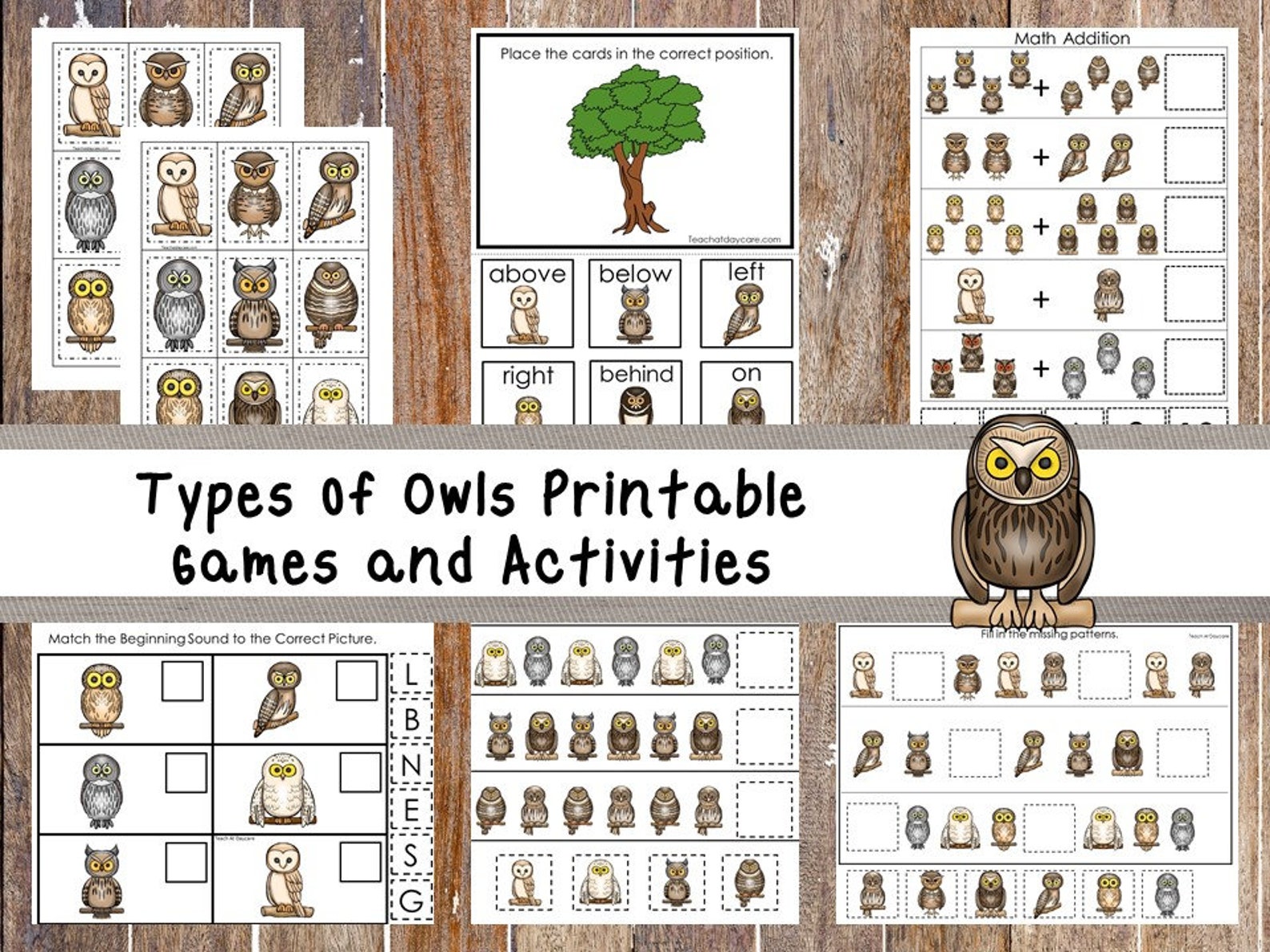 30 Types of Owls Printable Preschool Educational Games - Etsy