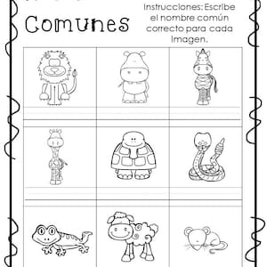 10 Printable Spanish Common Nouns Worksheets. ESL. ELA. - Etsy