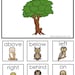 30 Types of Owls Printable Preschool Educational Games Download. Games ...
