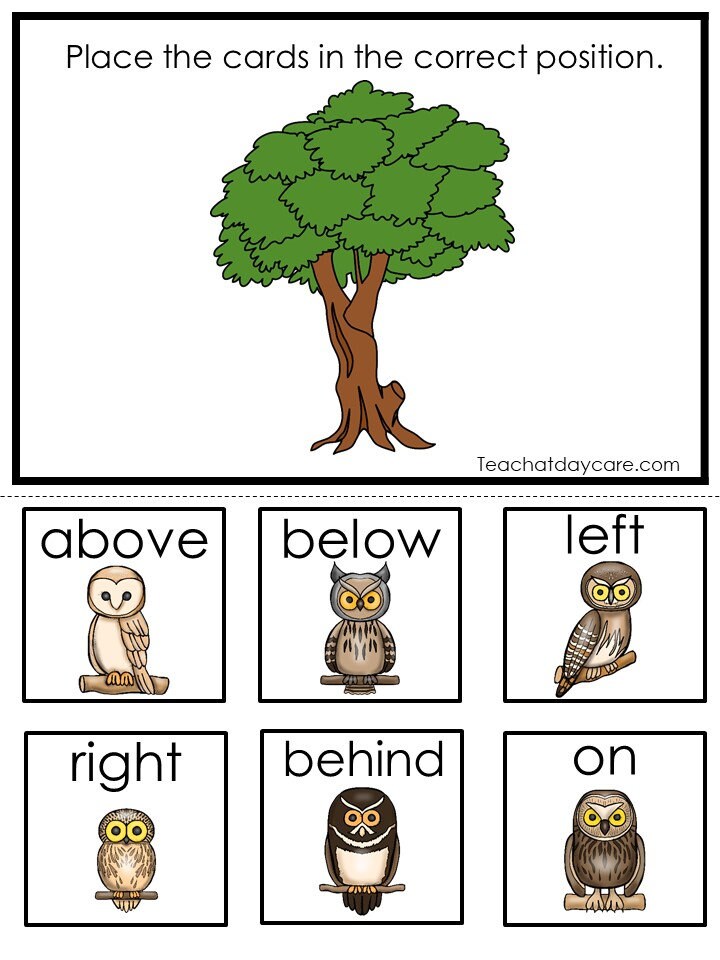 30 Types of Owls Printable Preschool Educational Games | Etsy