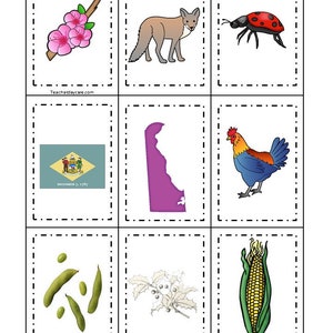 30 Delaware State Symbols Themed Learning Games Download. ZIP File ...