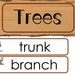 50 Classroom Weekly Theme Word Walls Download. Preschool-kindergarten ...
