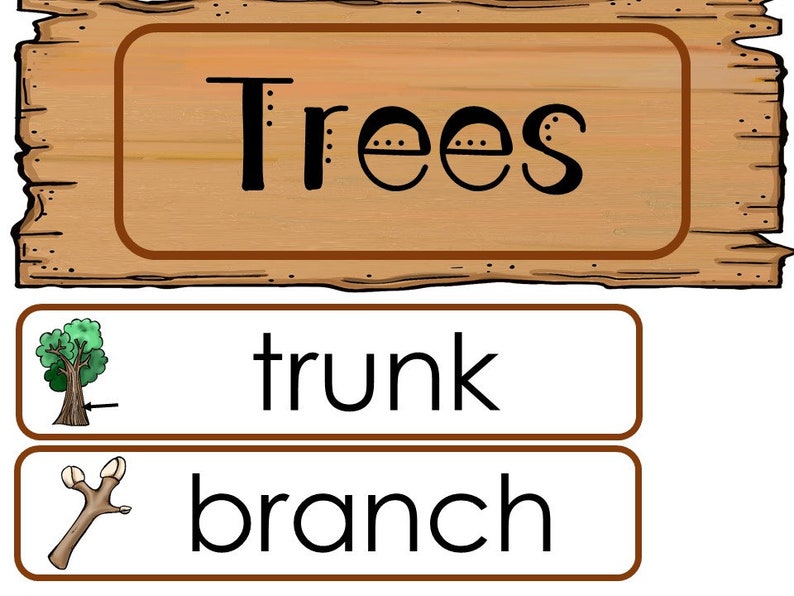Classroom Theme Word Walls: Preschool-kindergarten (PDF Download) - Etsy