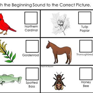 30 Kentucky State Symbols Themed Learning Games Download. ZIP File ...