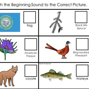 30 South Dakota State Symbols Themed Learning Games Download. ZIP File ...