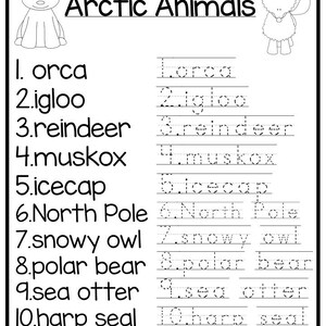First Grade Arctic Animals Themed Words Spelling Activity. Supplemental ...