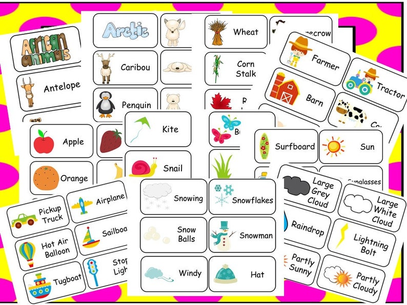 Picture Word Flashcards Curriculum Download. - Etsy